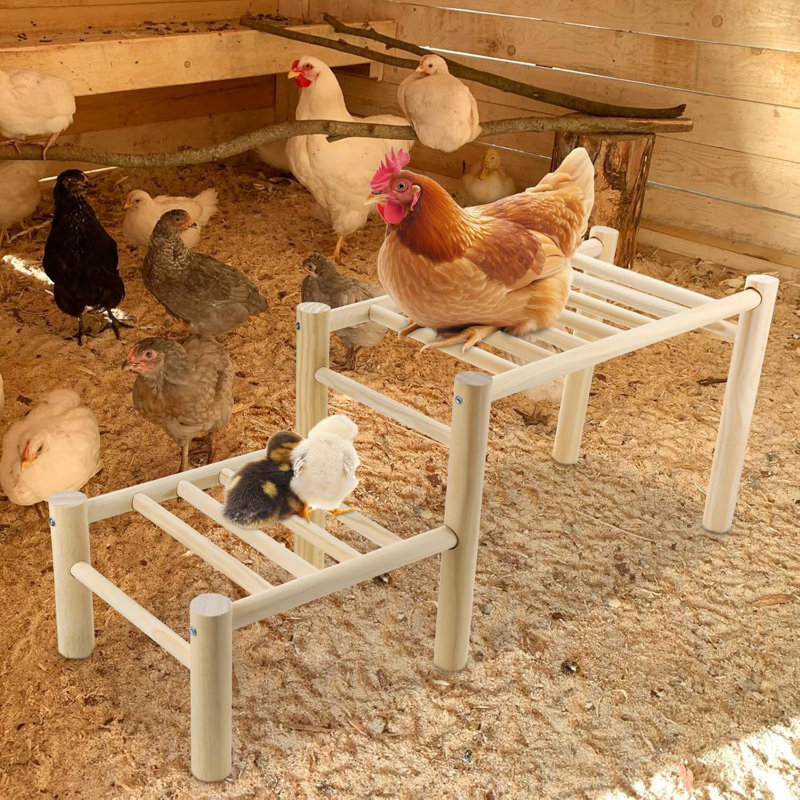 Archie & Oscar™ Chicken Perch Chicken Roosting Ladder For Chicken Coop ...