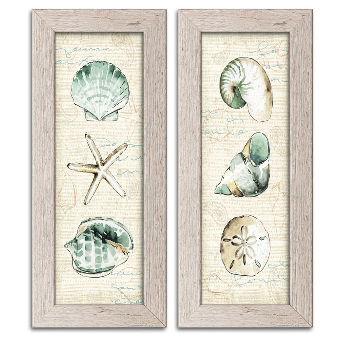 Rosecliff Heights " Beautiful Spa Shells; Conch, Starfish, Sand Dollar ...