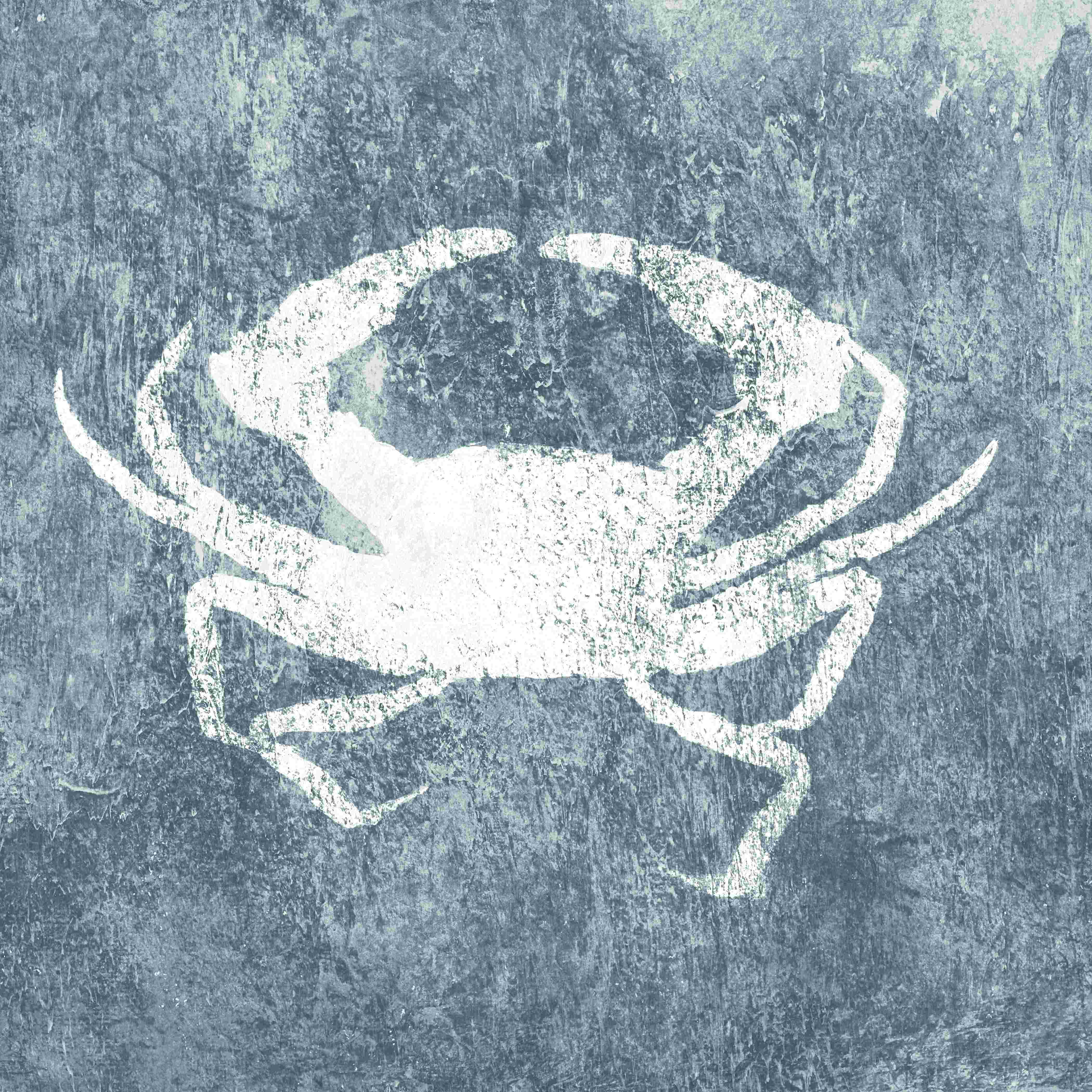 Highland Dunes Crab with Blue Gray Texture - Wrapped Canvas Graphic Art ...