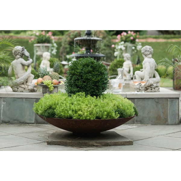 Red Barrel Studio® Wilmarie 42" Natural Rust Pantina Round Planter ...