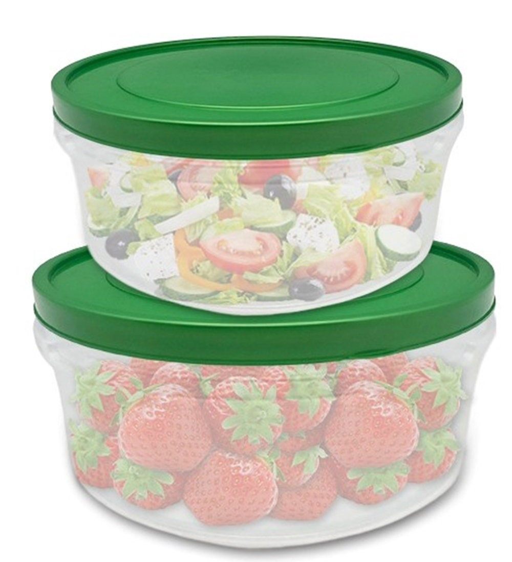 Prep & Savour Derekshan 2 Container Food Storage Set | Wayfair