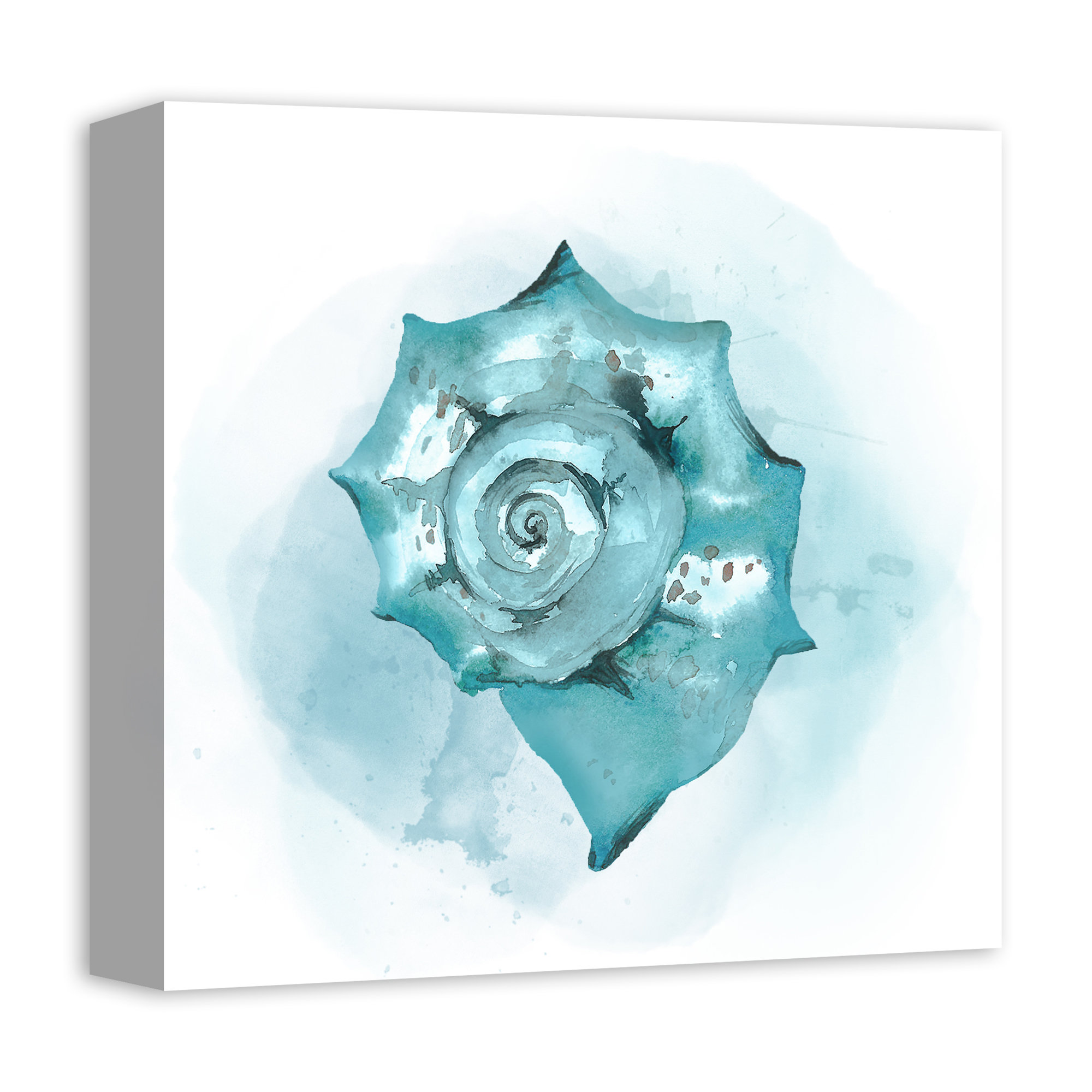 Rosecliff Heights Teal Seashell - Wrapped Canvas Painting Print | Wayfair