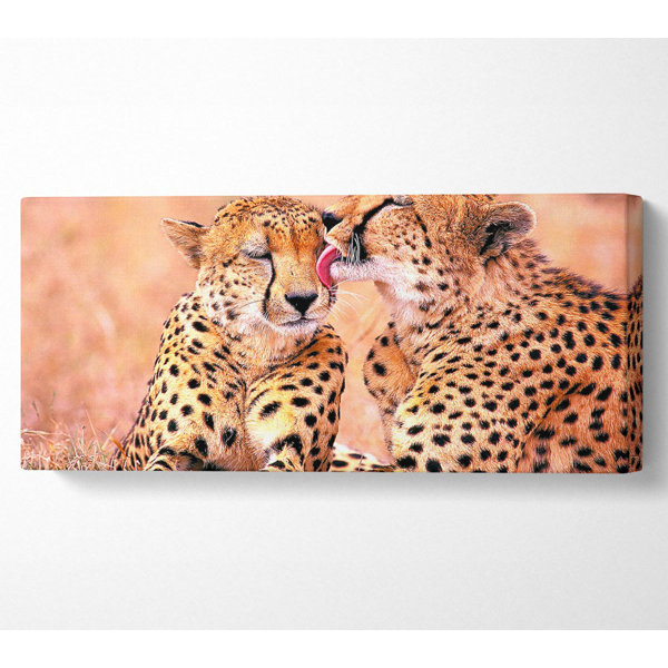 Ebern Designs South African Cheetahs - Wrapped Canvas Art Prints ...