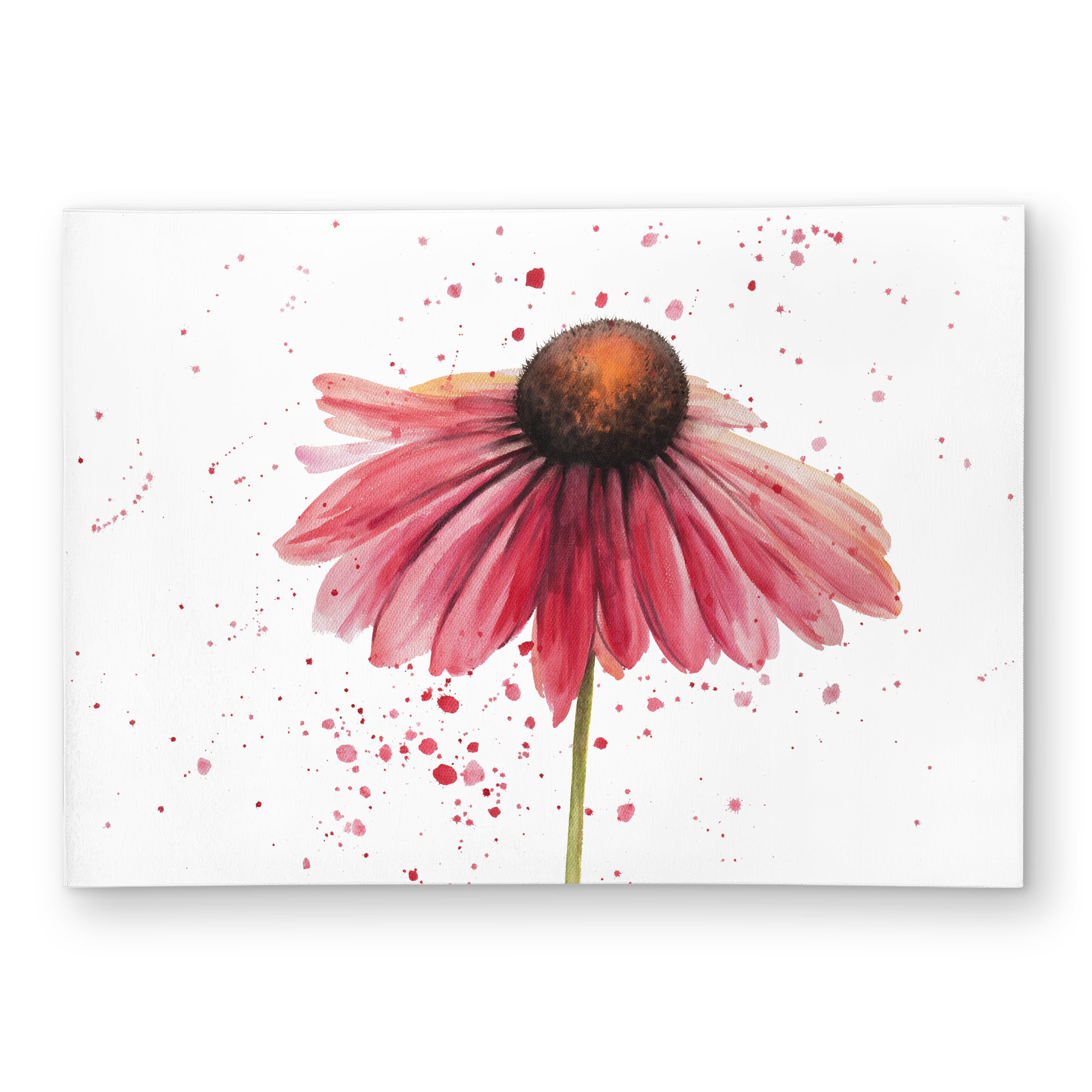 Begin Edition International Inc. Pink Daisy Outdoor Area Rug | Stylish ...