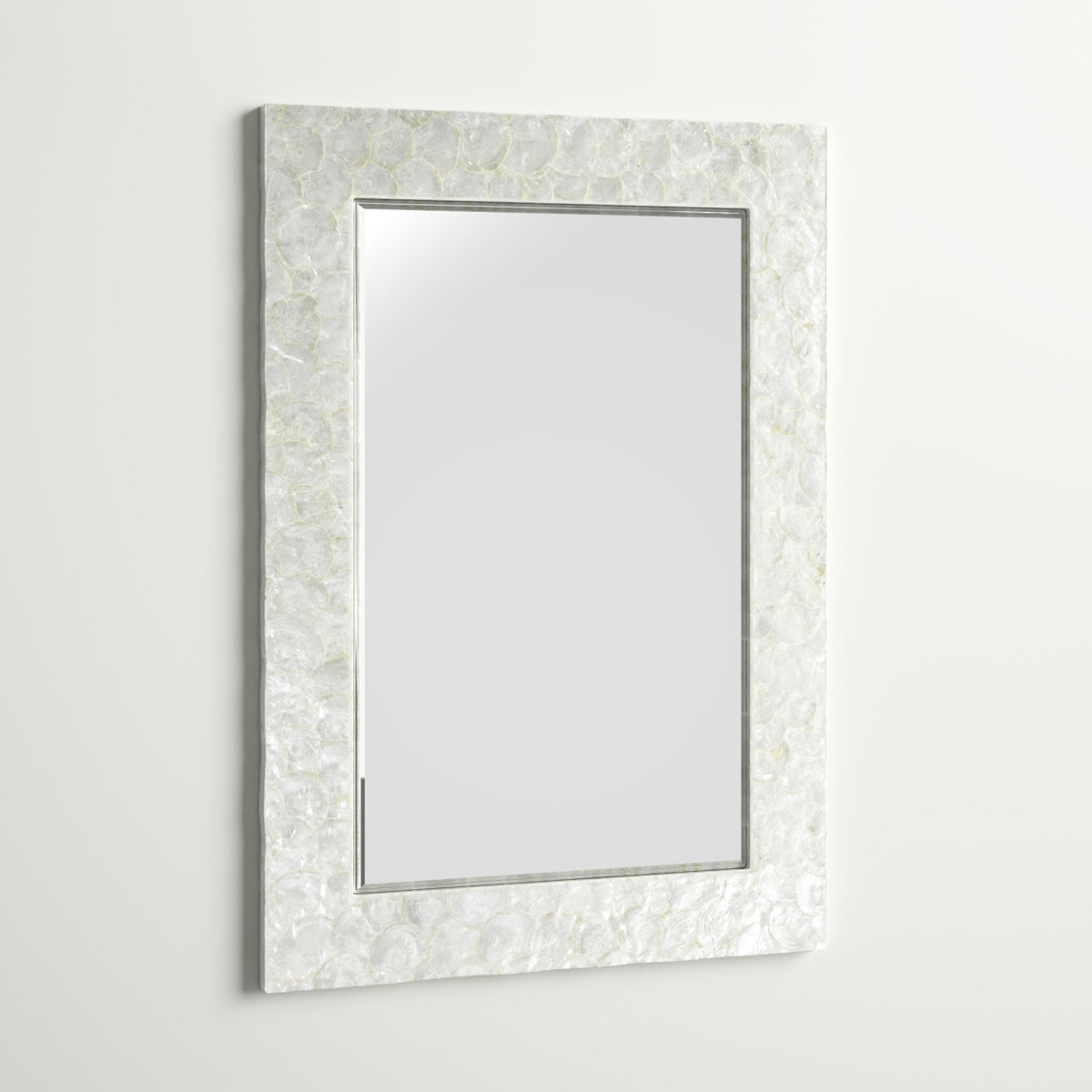 Latitude Run® Javione Traditional Beveled Wall Mirror & Reviews | Wayfair