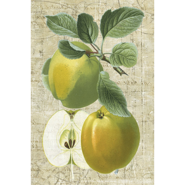 Fleur De Lis Living Orchard Medley I | Wayfair.co.uk