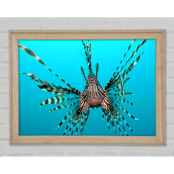 Highland Dunes Red Lionfish Framed Print | Wayfair.co.uk
