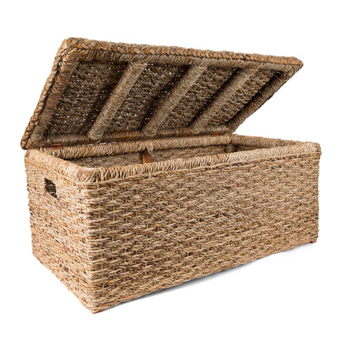 Bayou Breeze Pham Wicker Trunk & Reviews | Wayfair