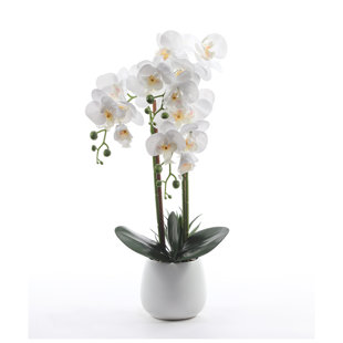 Wayfair | Flowering Faux Plants You'll Love in 2023