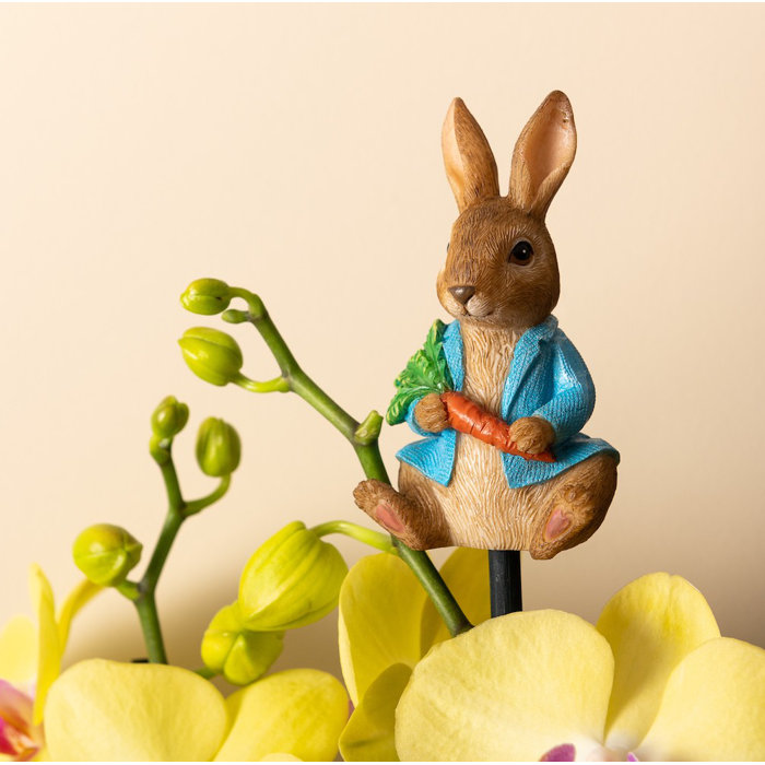 Trinx Peter Rabbit Holding a Carrot | Wayfair