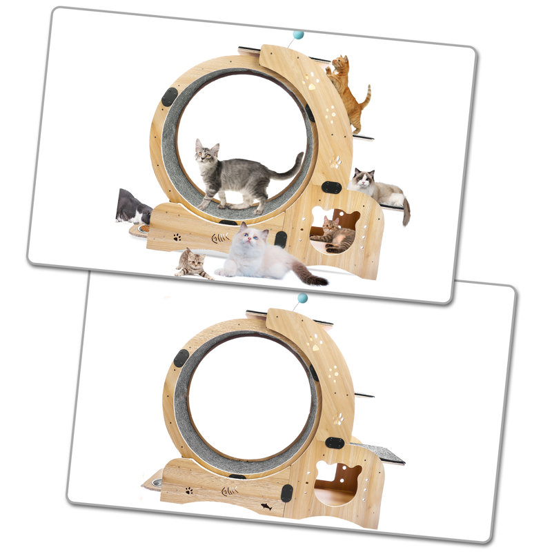 Tucker Murphy Pet™ Eliath 42.15'' H Cat Tree with running wheels and ...