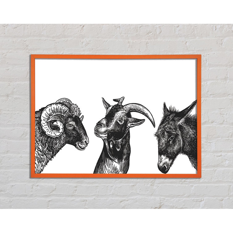 August Grove Goat Sheep Donkey - Single Picture Frame Art Prints ...