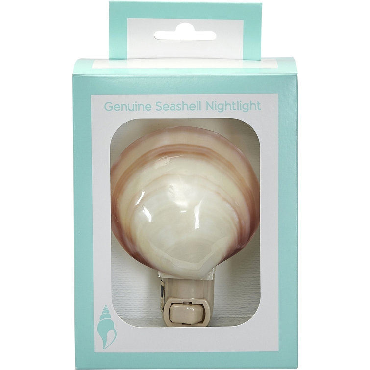 TheSeashellCompany Polished Tiger Clam LED Night Light - Wayfair Canada