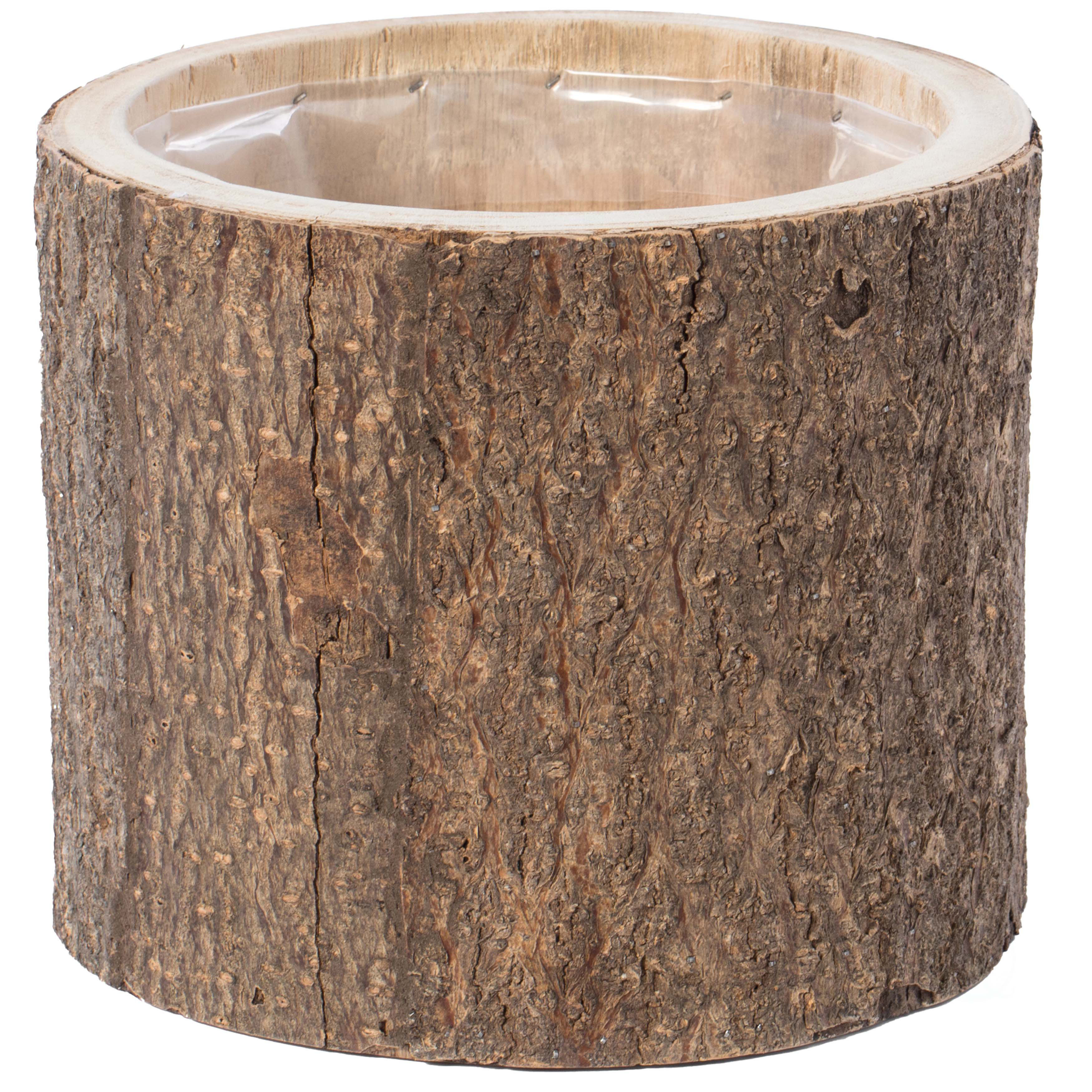 Millwood Pines Peake Wooden Stump Tree Branch with Bark Succulent ...