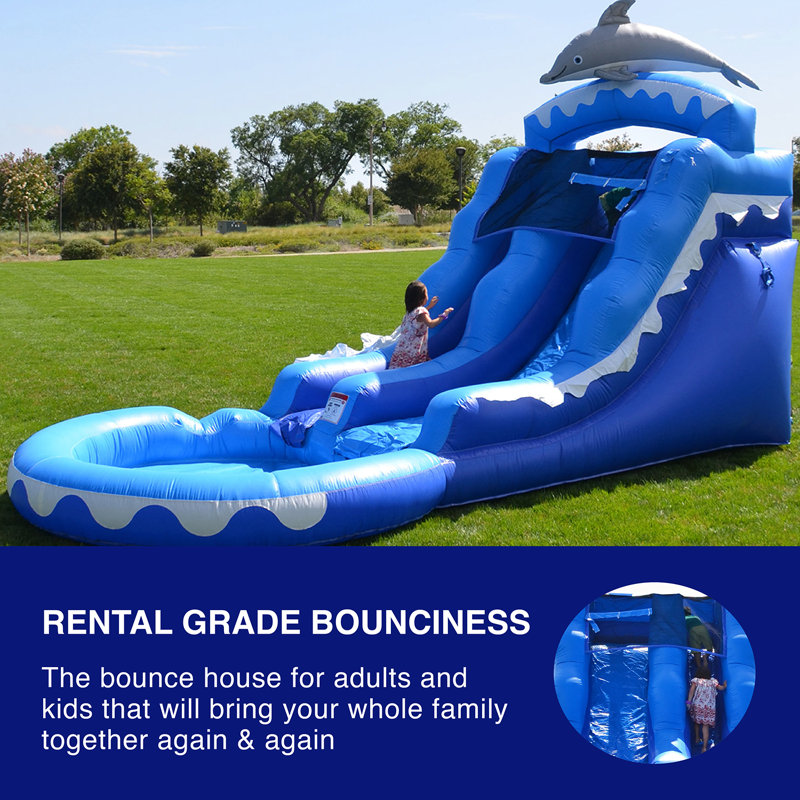 HeroKiddo 13 FT Dolphin Water Slide with Splash Pool for Kids and ...