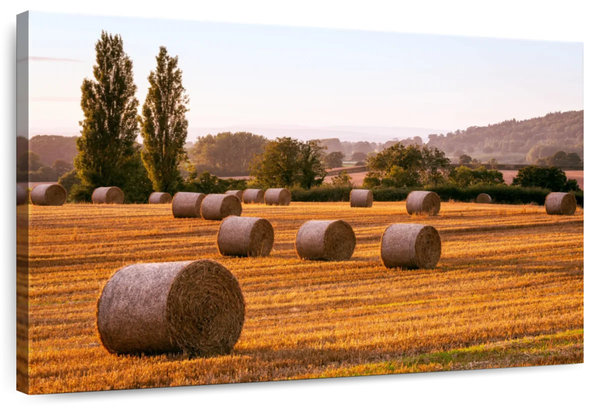 Ebern Designs Hay Bales In Herefordshire | Wayfair