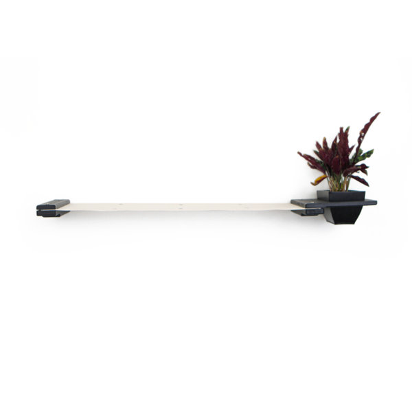 Cat Perches You'll Love - Wayfair Canada