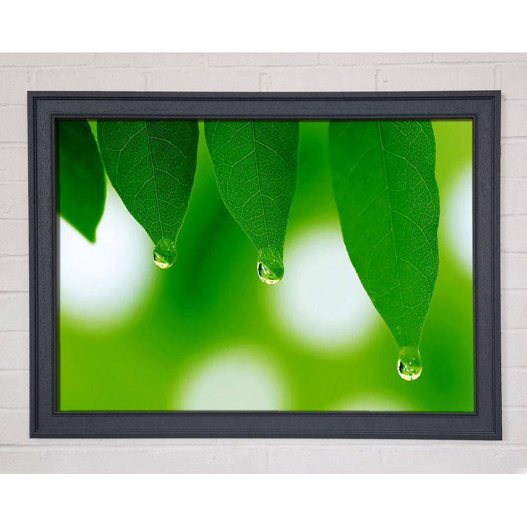 Ebern Designs Trio Dewdrop Leaf - Single Picture Frame Art Prints ...