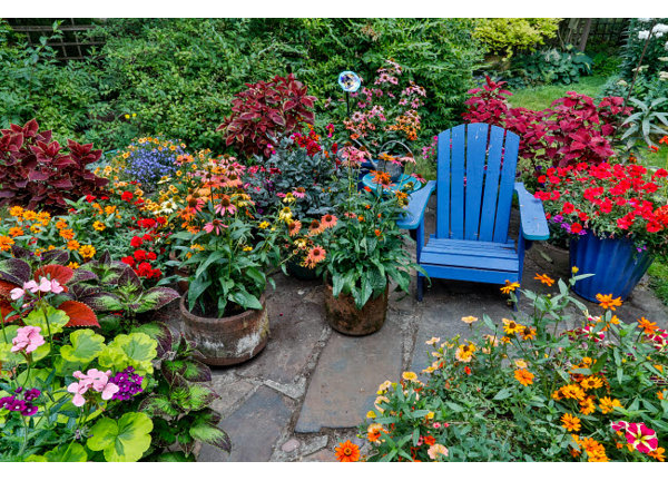 Ebern Designs Garden In Full Bloom With Blue Chair Sammamish Washington ...