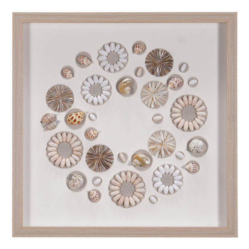 Dakota Fields Assorted Natural Shells Shadow Box Wall Décor | Wayfair