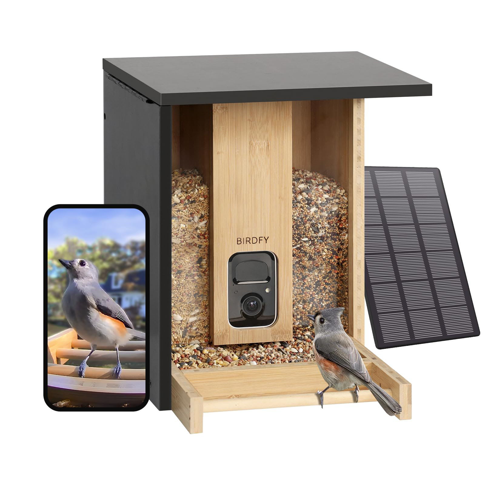 Birdfy Smart Bird Feeder Camera Solar Powered, Auto Capture Birds ...