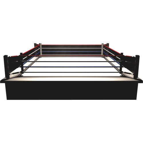 Wet Paint Printing SP13402 Boxing Fighting Ring Cardboard Cutout ...