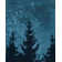 Harriet Bee Costello Forest Trees Night Scene 4-Piece Panel Peel Wall ...