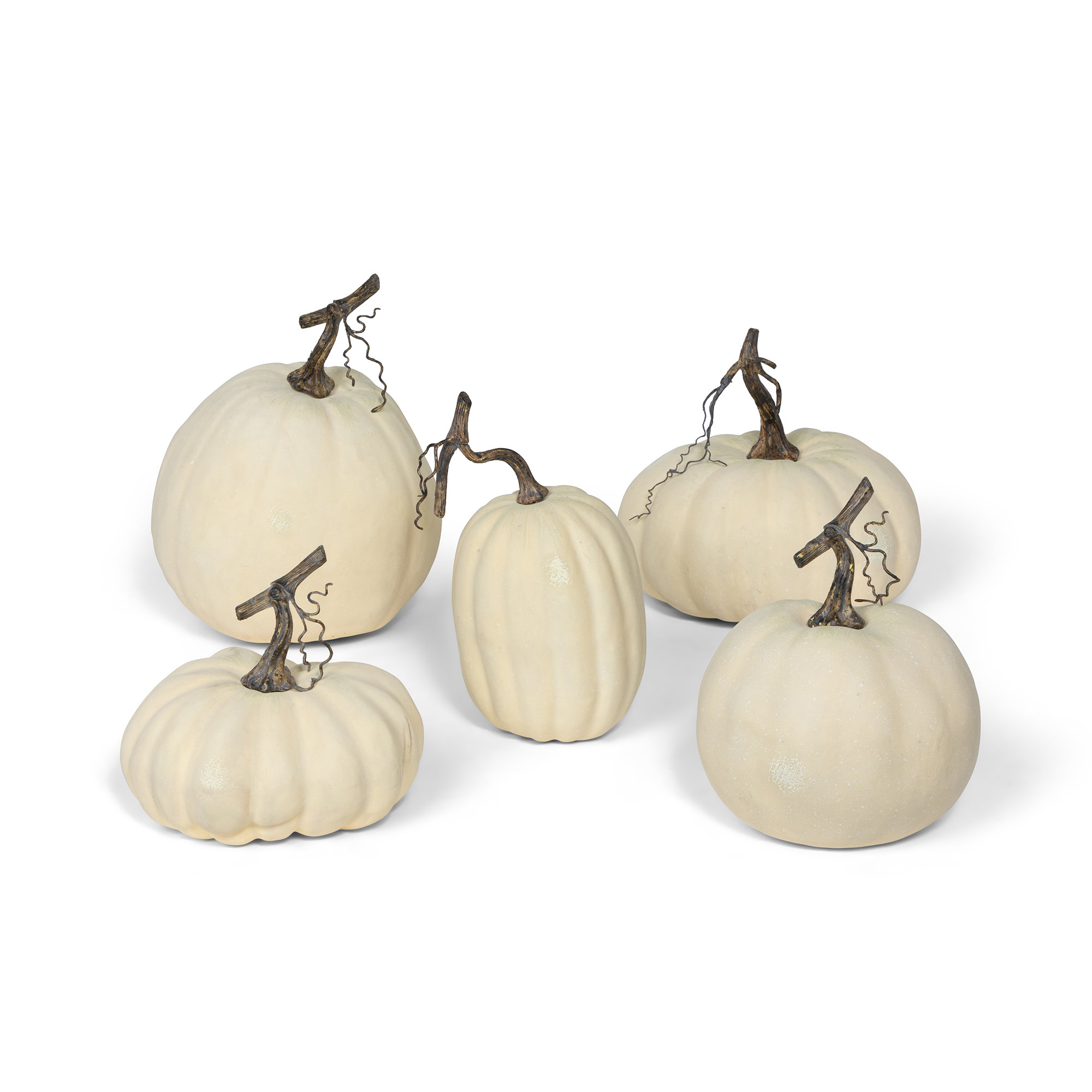 Park Hill Collection Full Moon Pumpkin Collection, Set Of 5 | Perigold