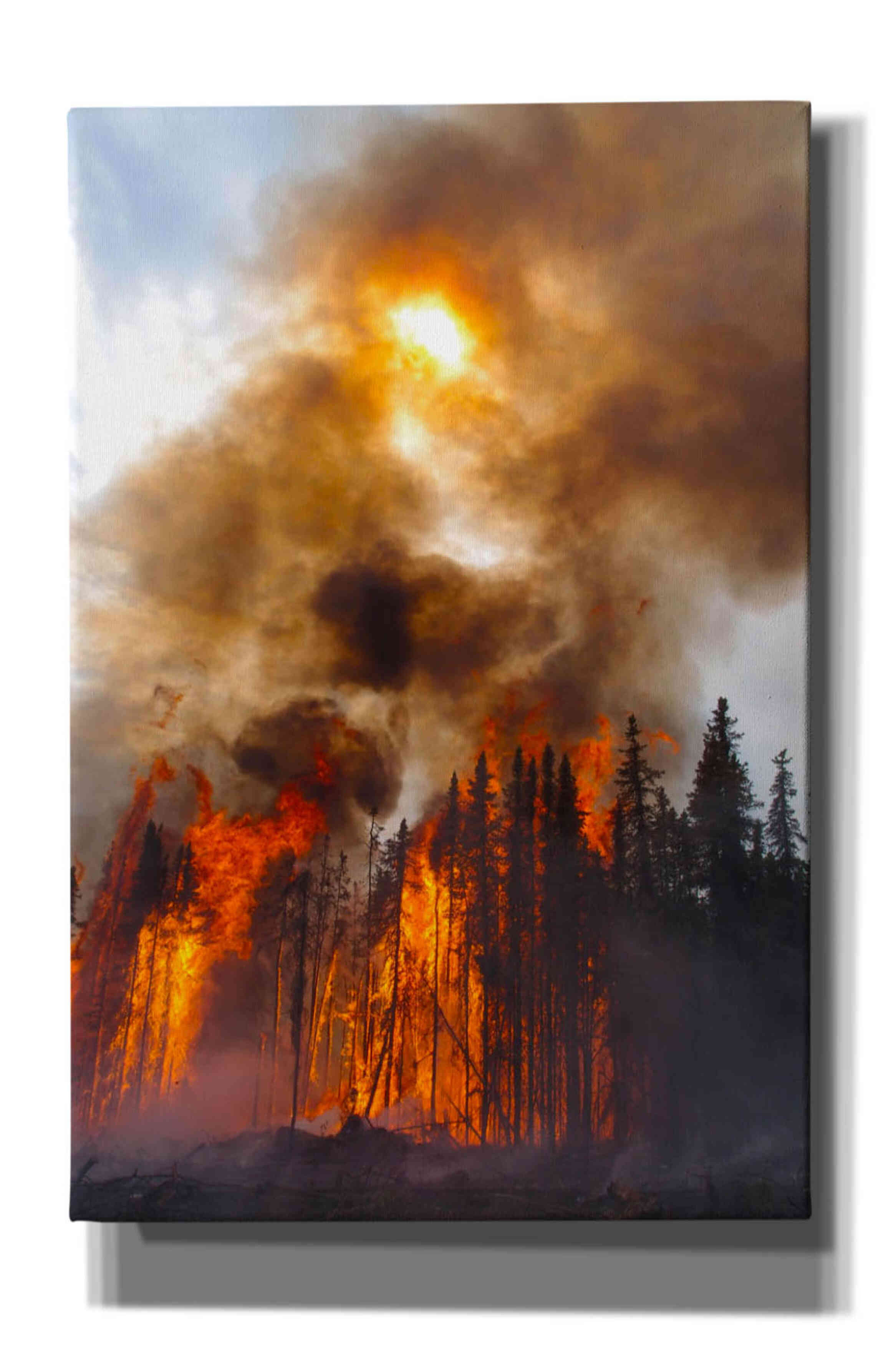Millwood Pines Torching by Thomas Haney - Wrapped Canvas Print | Wayfair