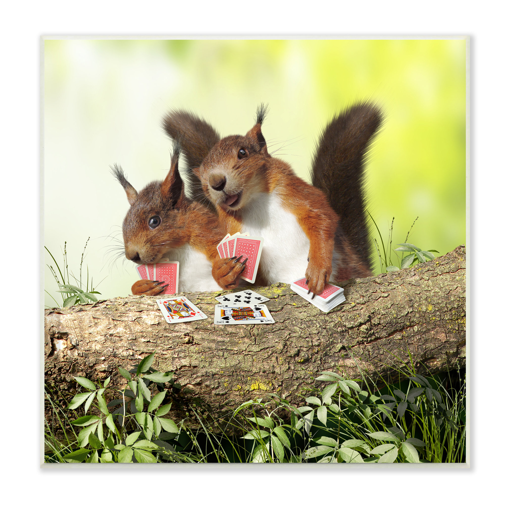 Stupell Industries Silly Squirrels Playing Card Games Tree Branch Wall ...