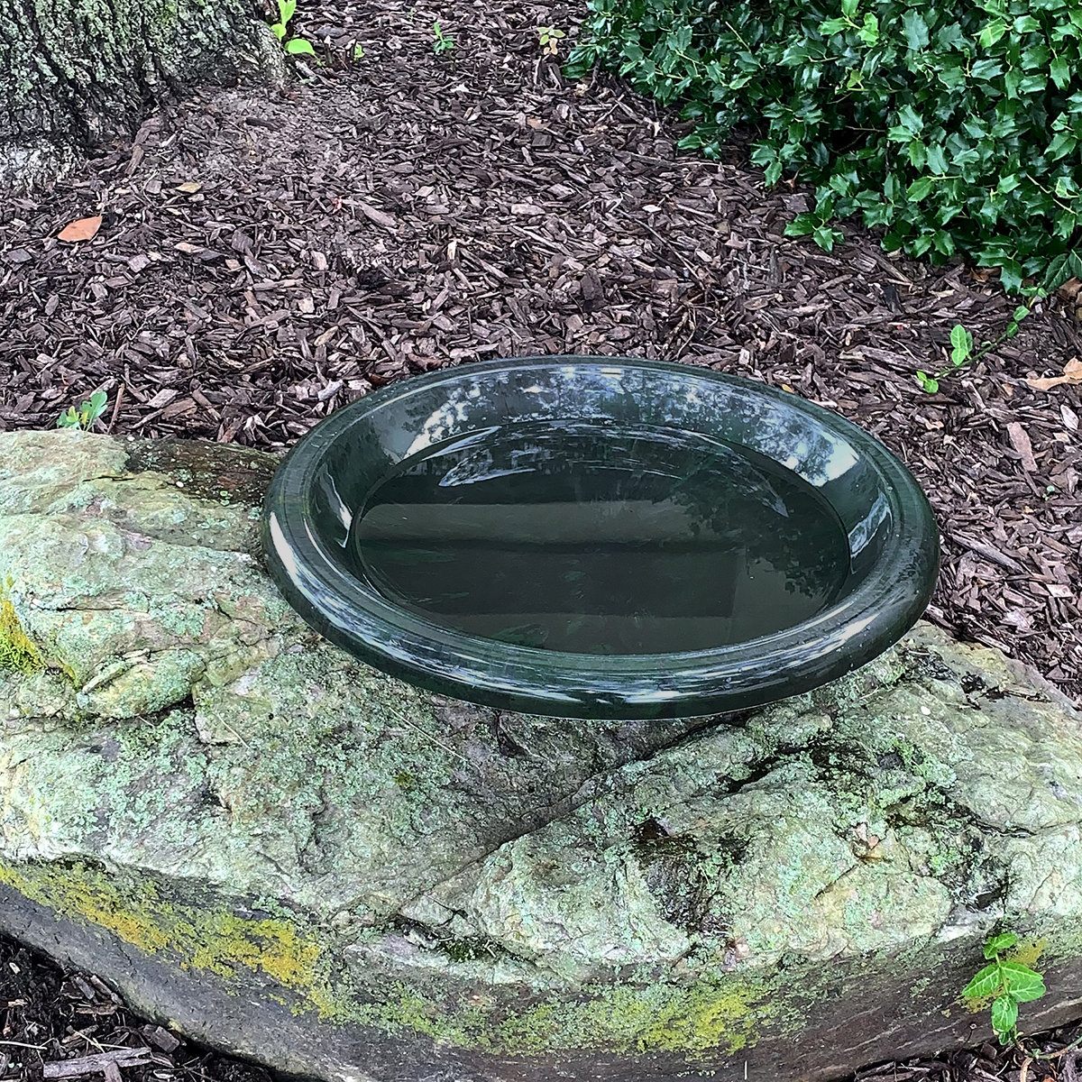 Tierra Garden Birds 19" D Hunter Green Fiber Clay Birdbath Bowl ...