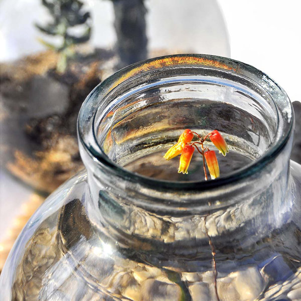 Gracie Oaks Sphere Storage Jar & Reviews | Wayfair