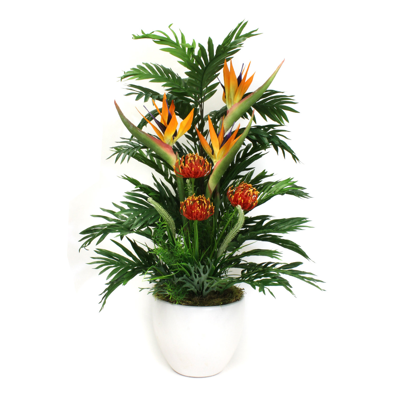 Dalmarko Designs Tropical Palm and Bird of Paradise Flowering Plant in ...
