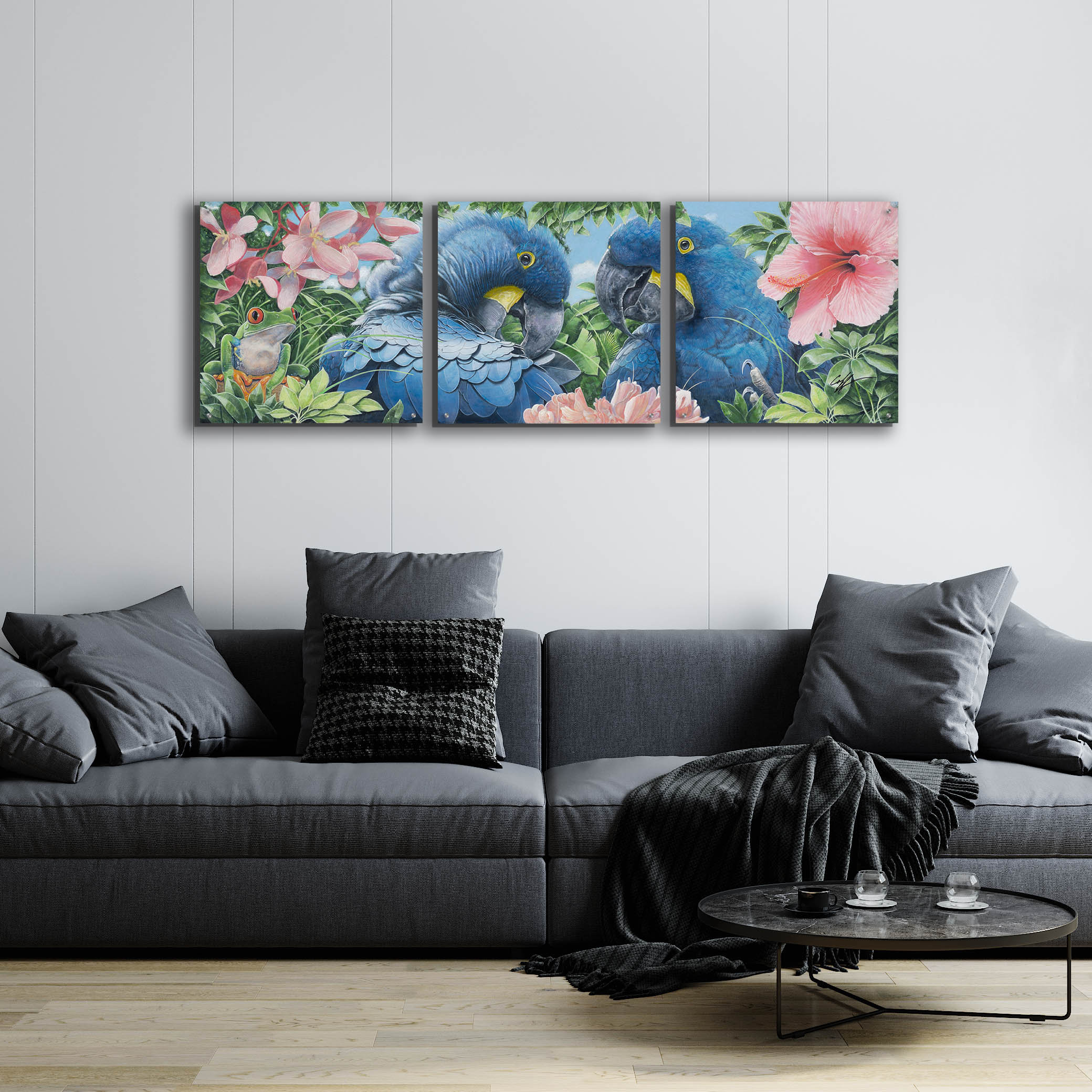 Epic Art 'Blue Macaws' by Durwood Coffey, Acrylic Glass Wal Art | Wayfair