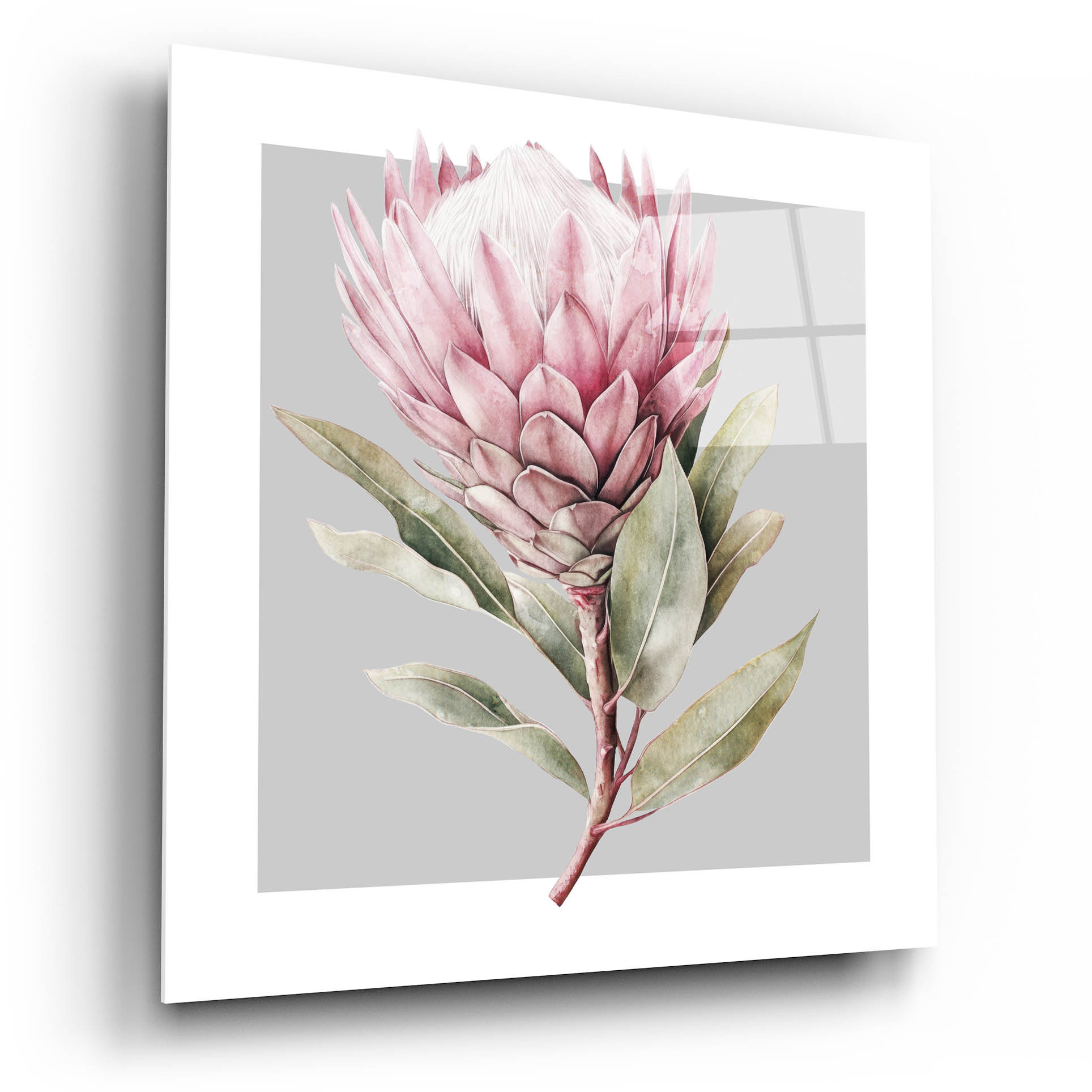 Winston Porter 'The Royal Protea' by Svetlana Aleynikova Acrylic Glass ...