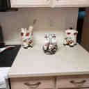 Lorren Home Trends 5 Piece Chef Ceramic Condiment Set & Reviews | Wayfair