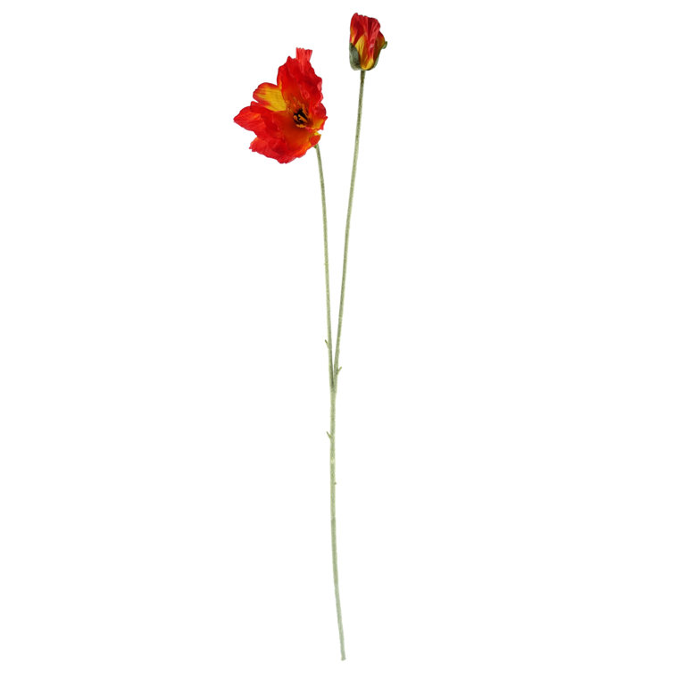 Leaf Poppy Stem | Wayfair.co.uk