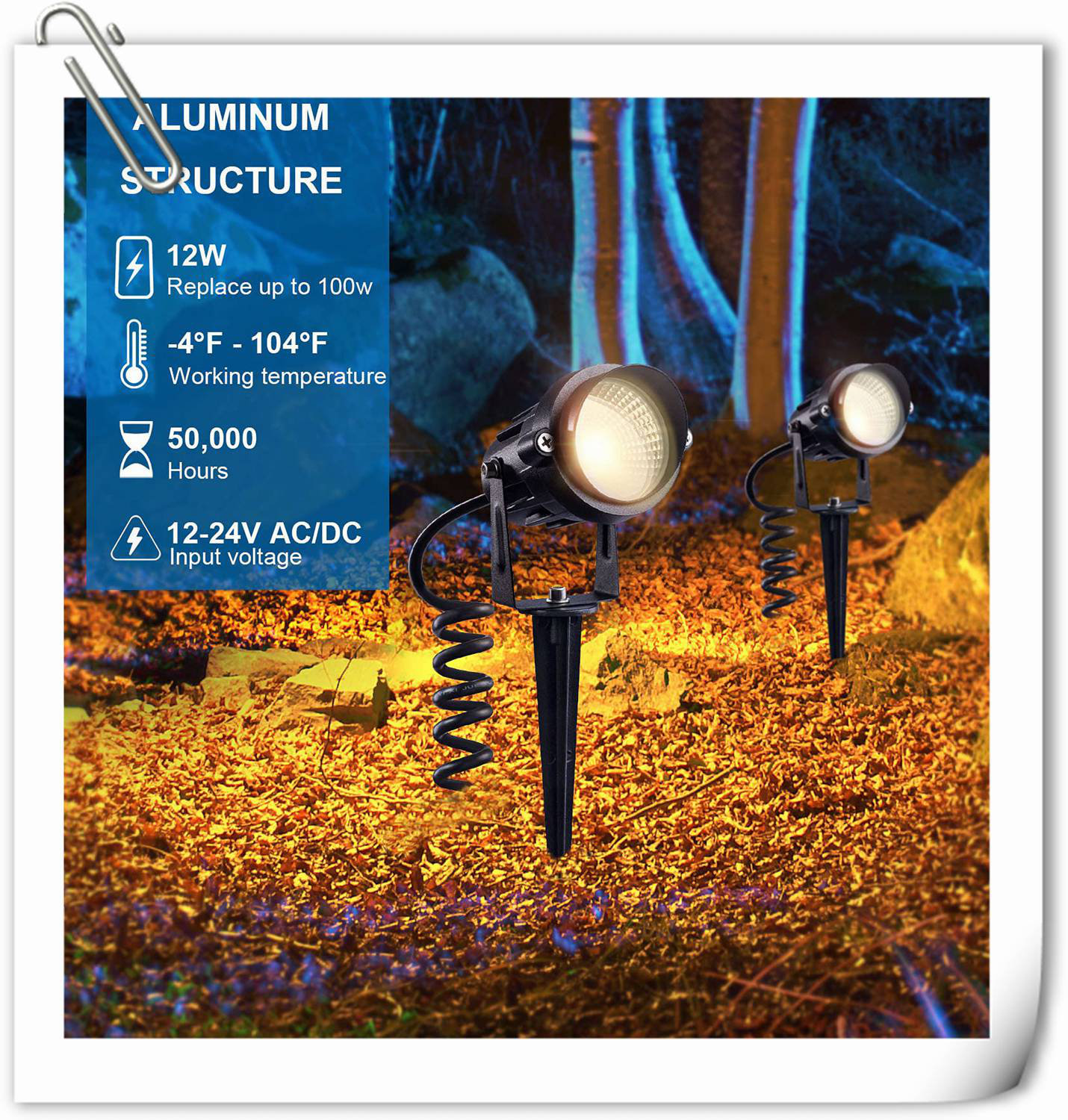 GLOBAL GIRLS LLC 12W LED Low Voltage Landscape Lights, Outdoor 12V ...