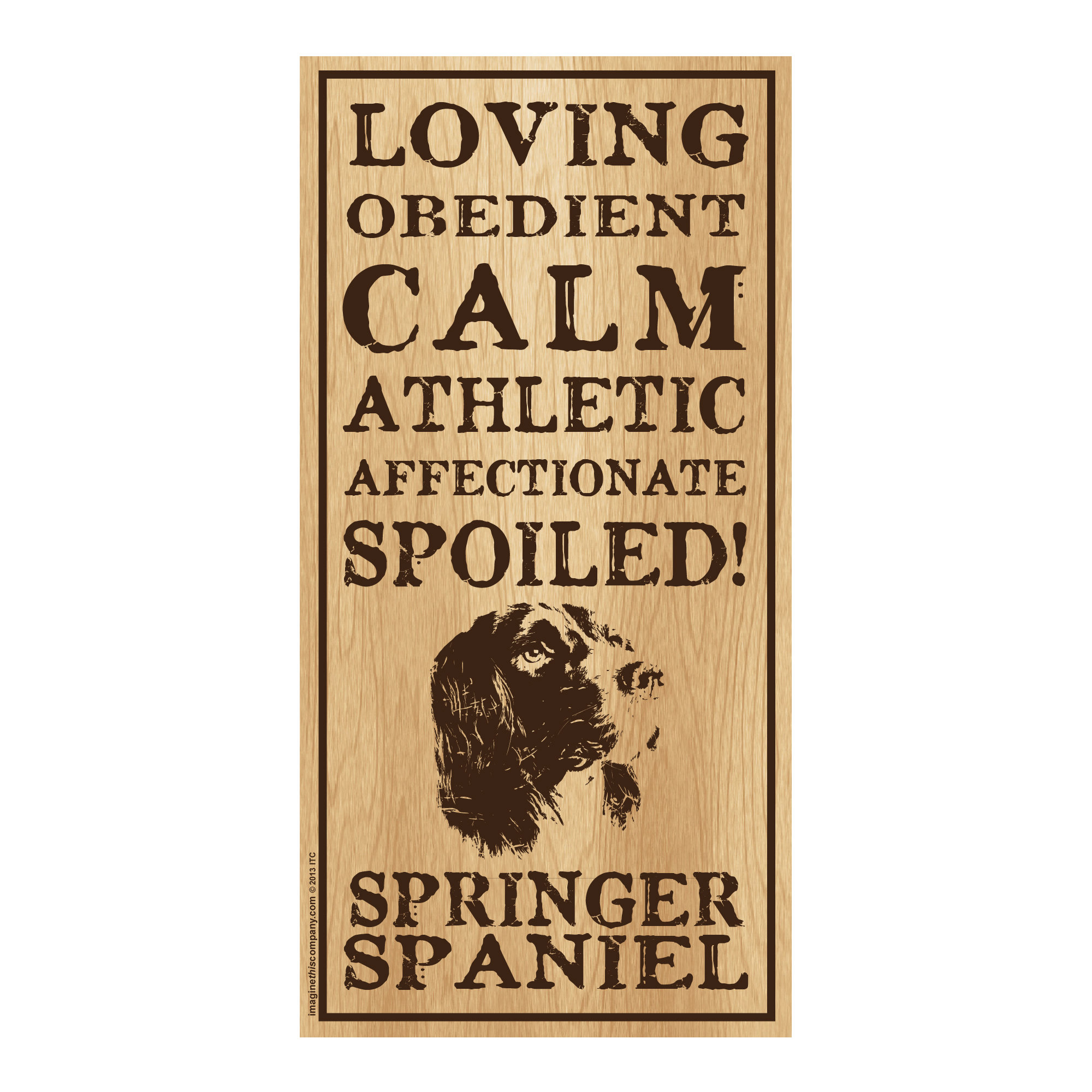 Imagine This Company Spoiled Springer Spaniel Vertical Wood Sign | Wayfair