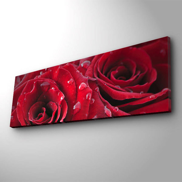 Ebern Designs Leinwandbild Druck | Wayfair.de