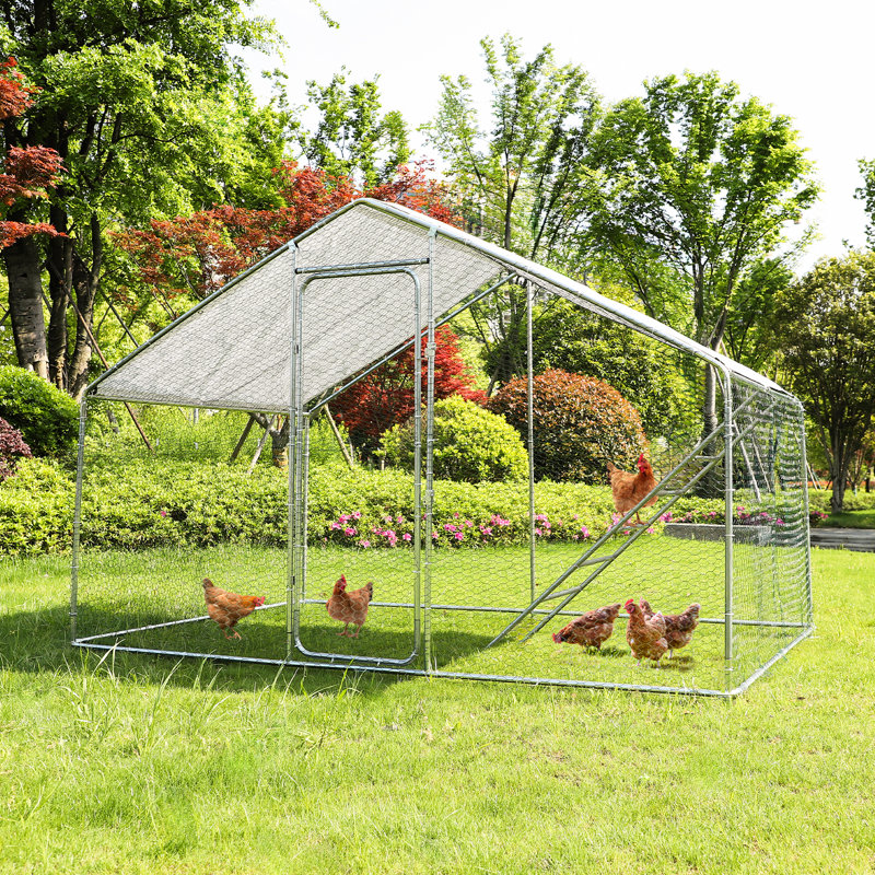 Tucker Murphy Pet™ Franisco 65 Square Feet Chicken Coop with Chicken ...