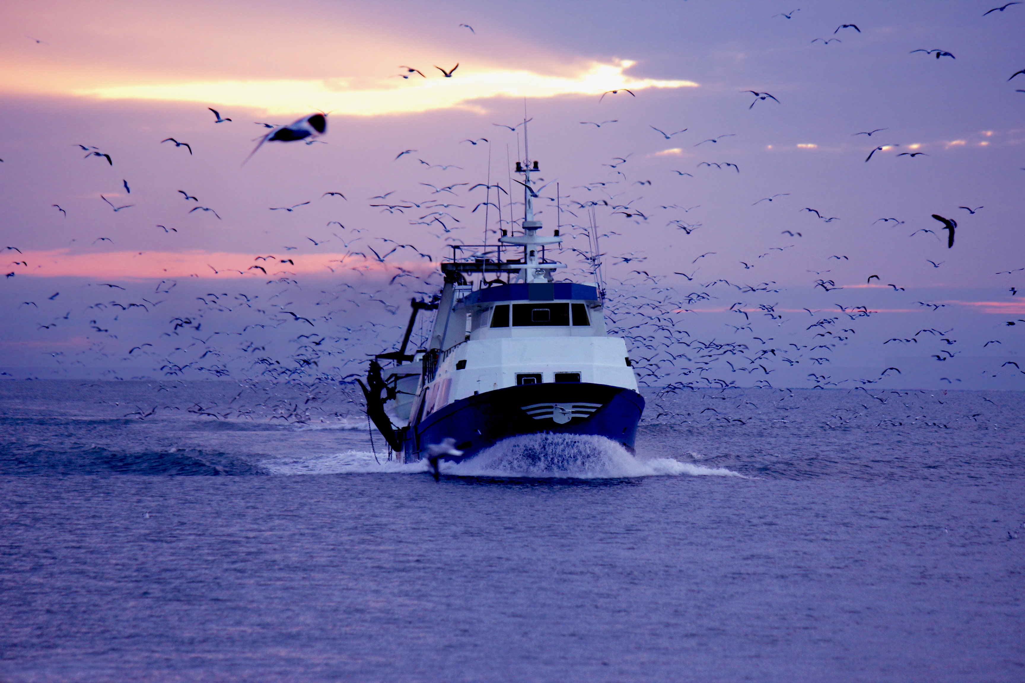 Breakwater Bay Fishing Boat by Turau - Wrapped Canvas Photograph ...