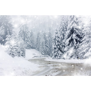 Millwood Pines Snow Covered Road by 8213Erika - Wrapped Canvas Print ...