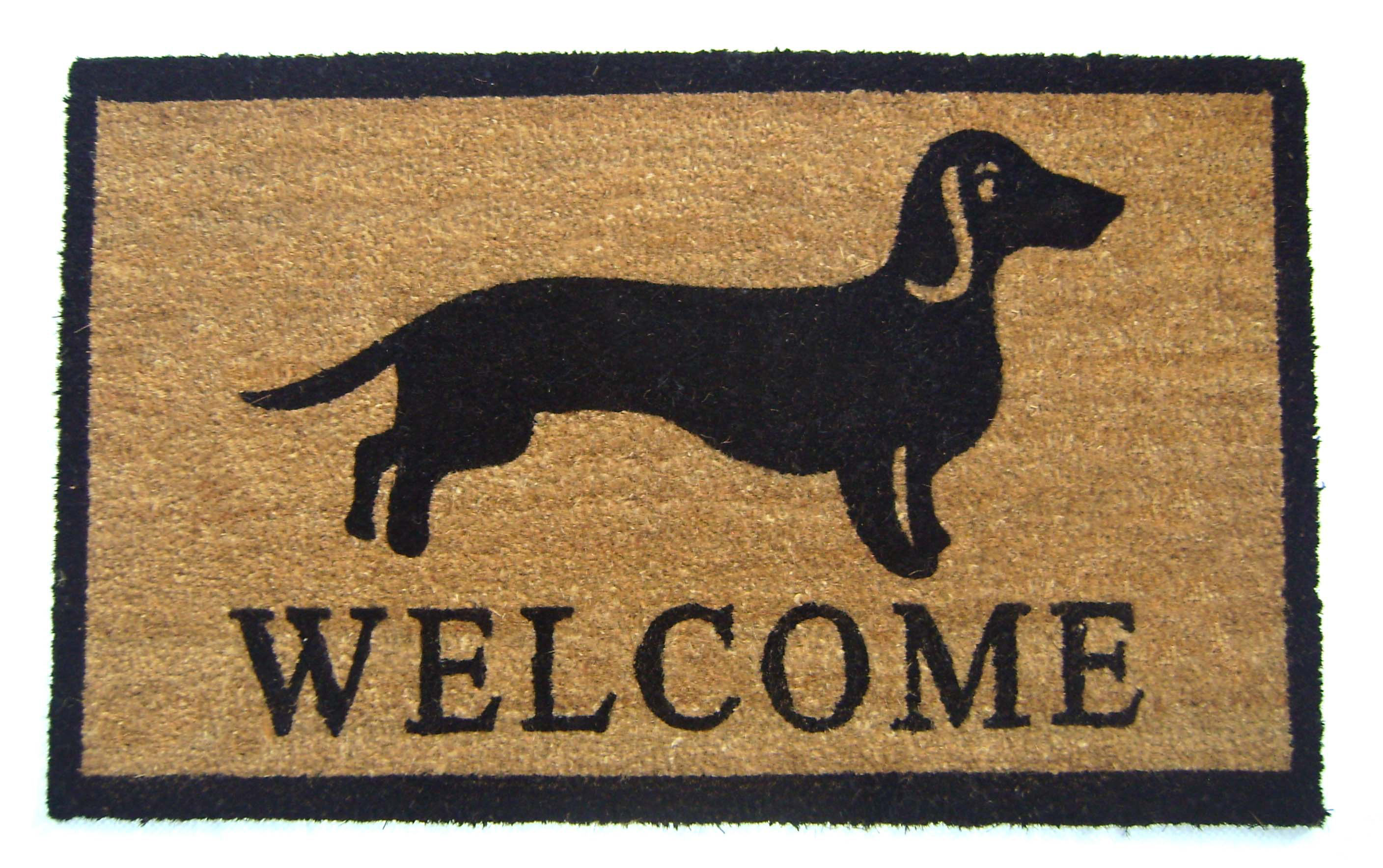Wildon Home® Ballu Dog Welcome 30 in. x 18 in. Non-Slip Outdoor Door ...