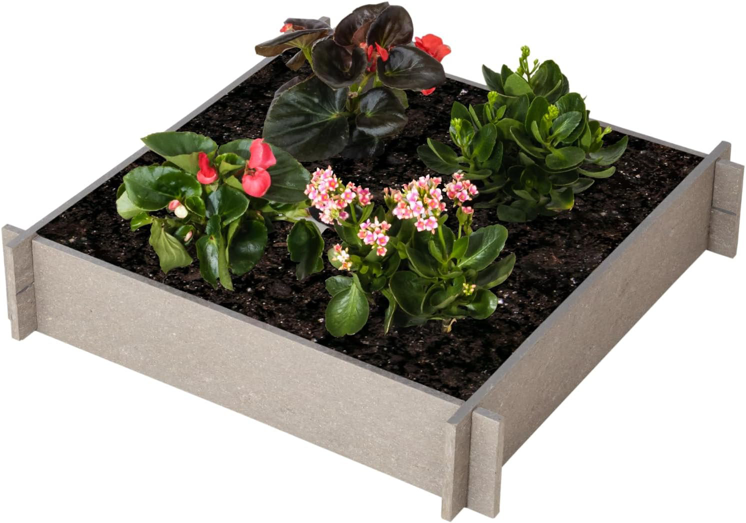 Ophelia & Co. Raised Garden Bed Outdoors, Patio Ground Planter Box for ...