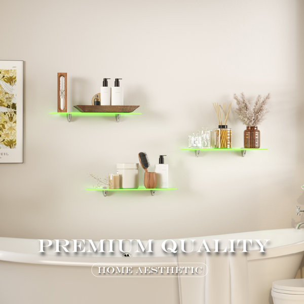 Ebern Designs Cavanaville Oval Floating Shelf, Wall Mounted Display ...