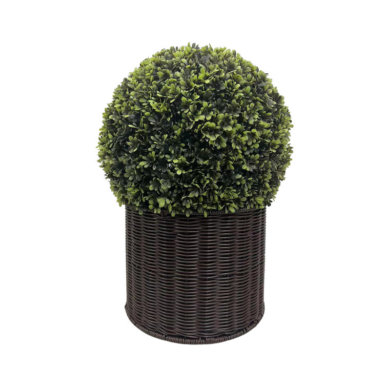 Primrue 20'' Faux Boxwood Plant in Composite Pot - Wayfair Canada