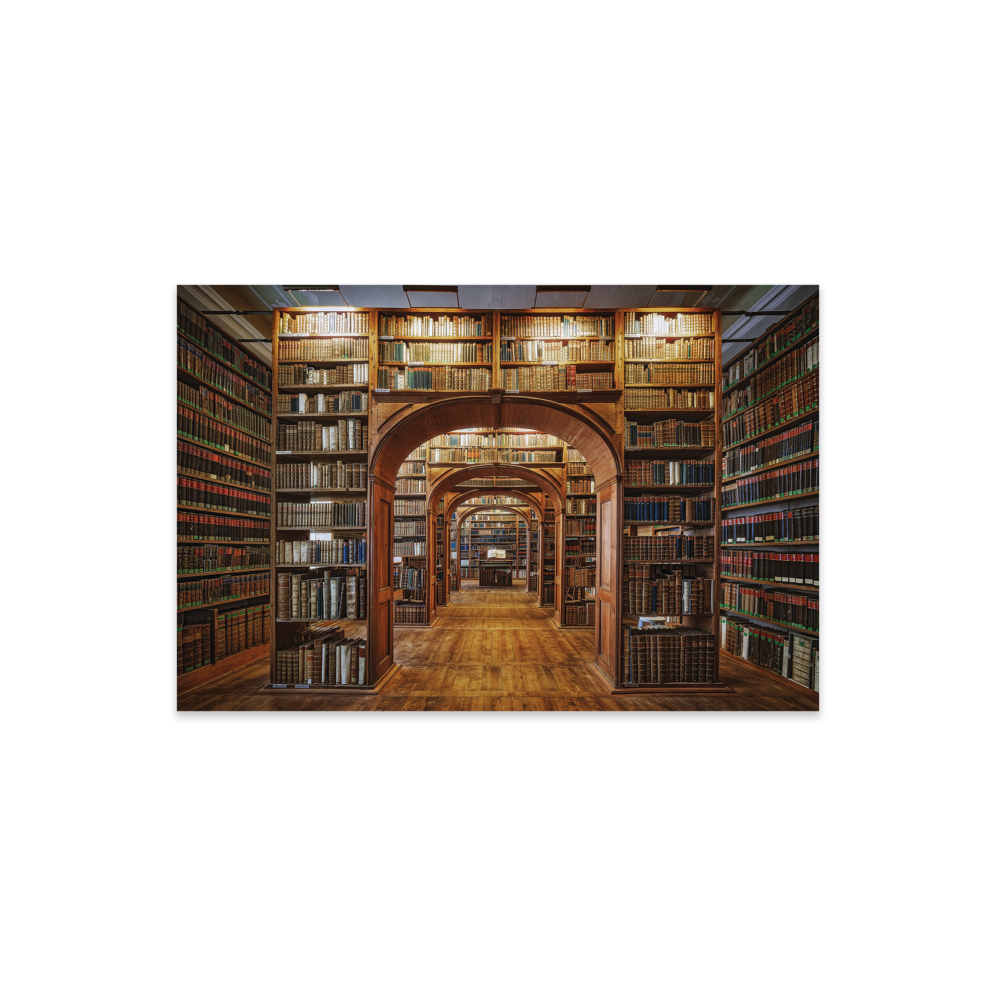 Ebern Designs Upper Lausitzian Library Of Sciences On Plastic/Acrylic ...