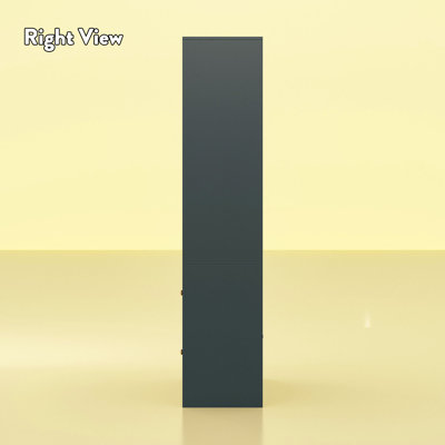 Latitude Run® Raybin Bedroom Armoire & Reviews | Wayfair