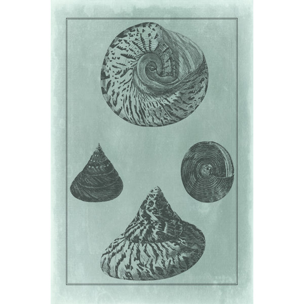 House of Hampton Spa Shell Collection II | Wayfair.co.uk